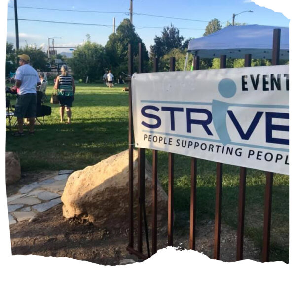 The STRiVE Organization Volunteer Board Of Directors